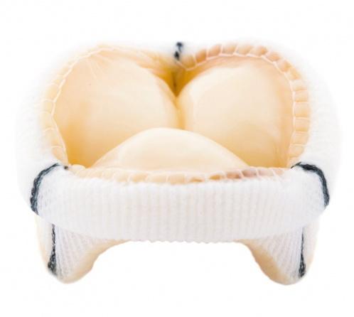 TLPB porcine heart valve prosthesis