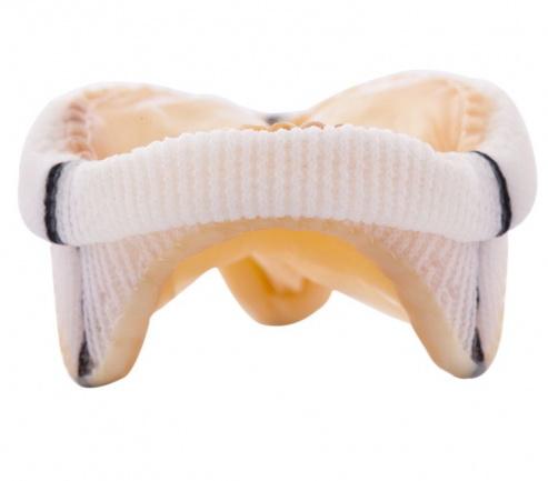 TLPB porcine heart valve prosthesis